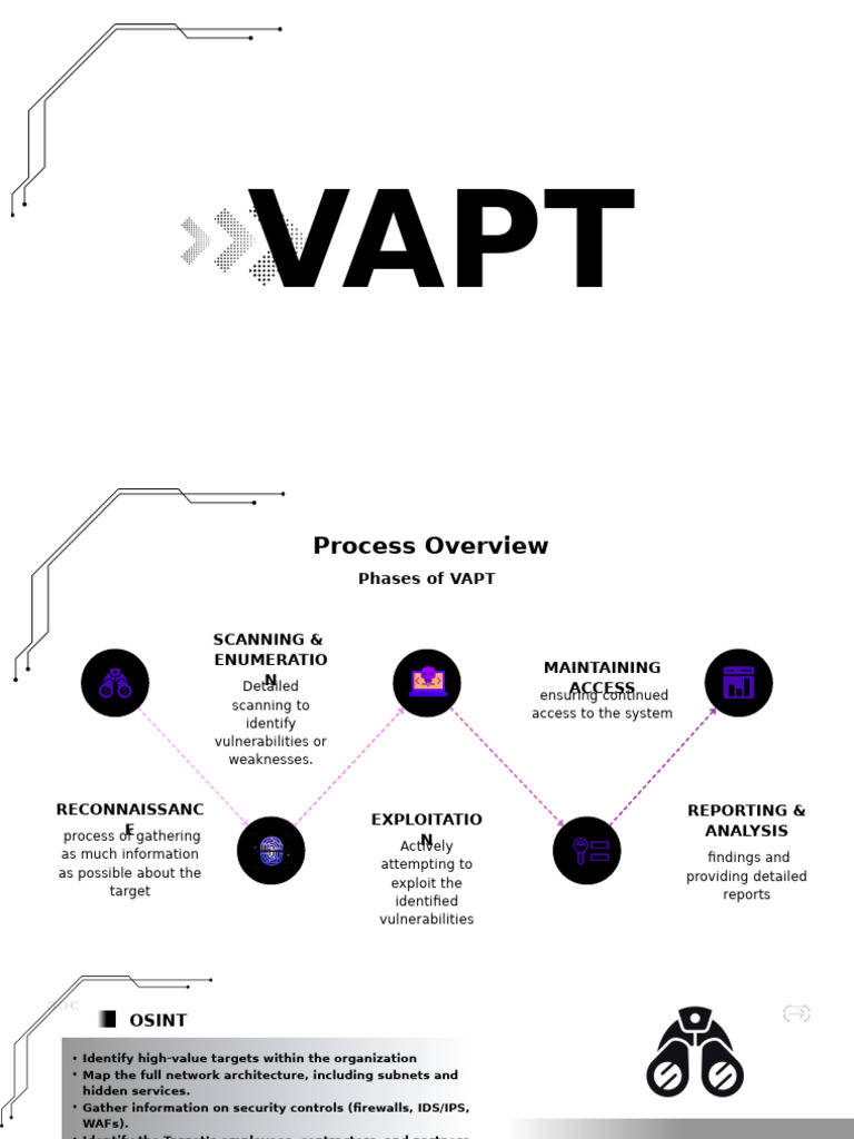 The Stages of Vapt | PDF