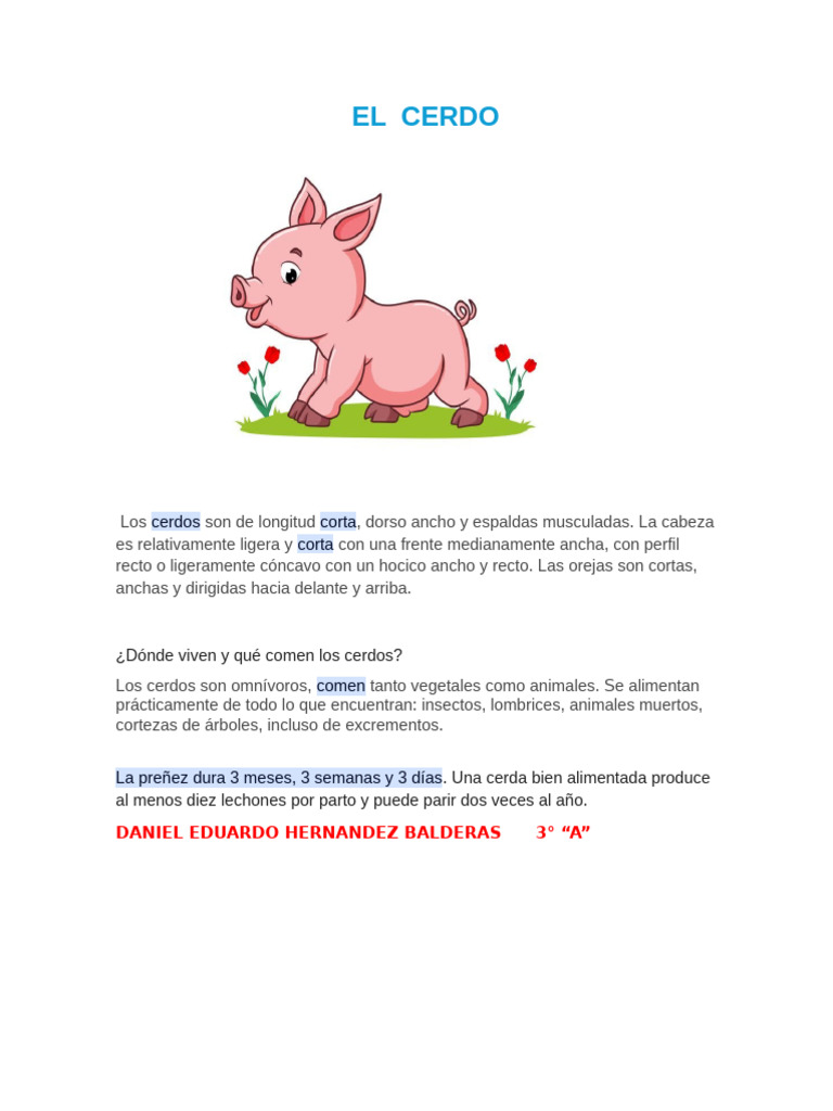 El Cerdo | PDF | Hogar, jardinería y bricolaje