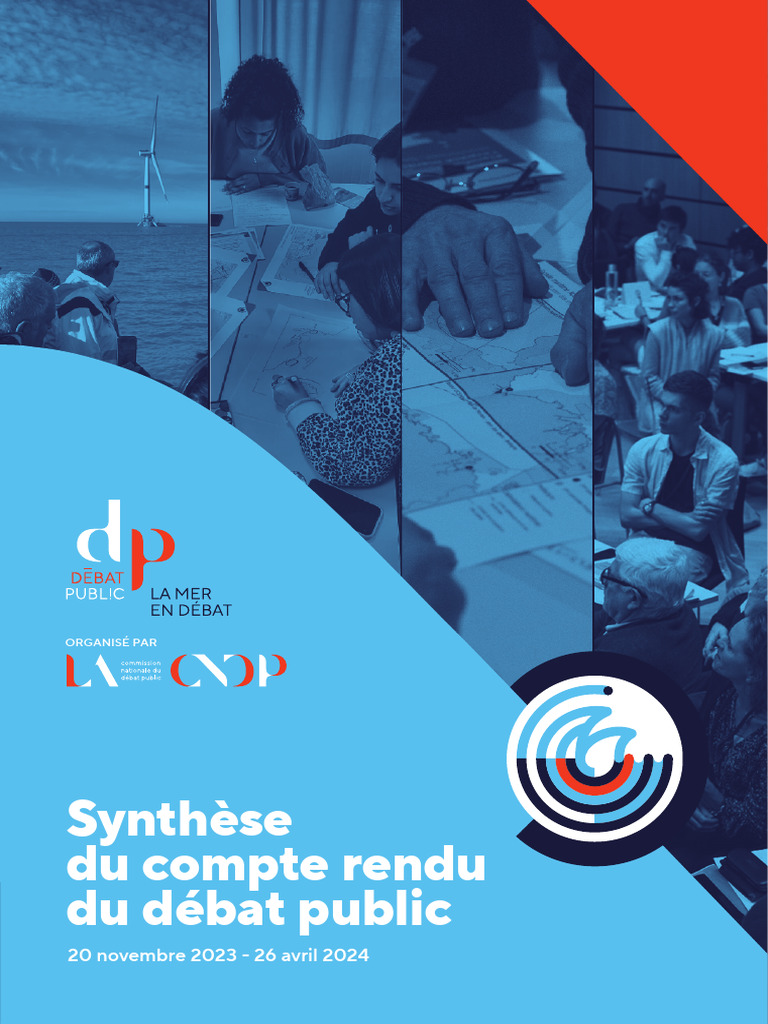 DSF Synthese Compte Rendu | PDF