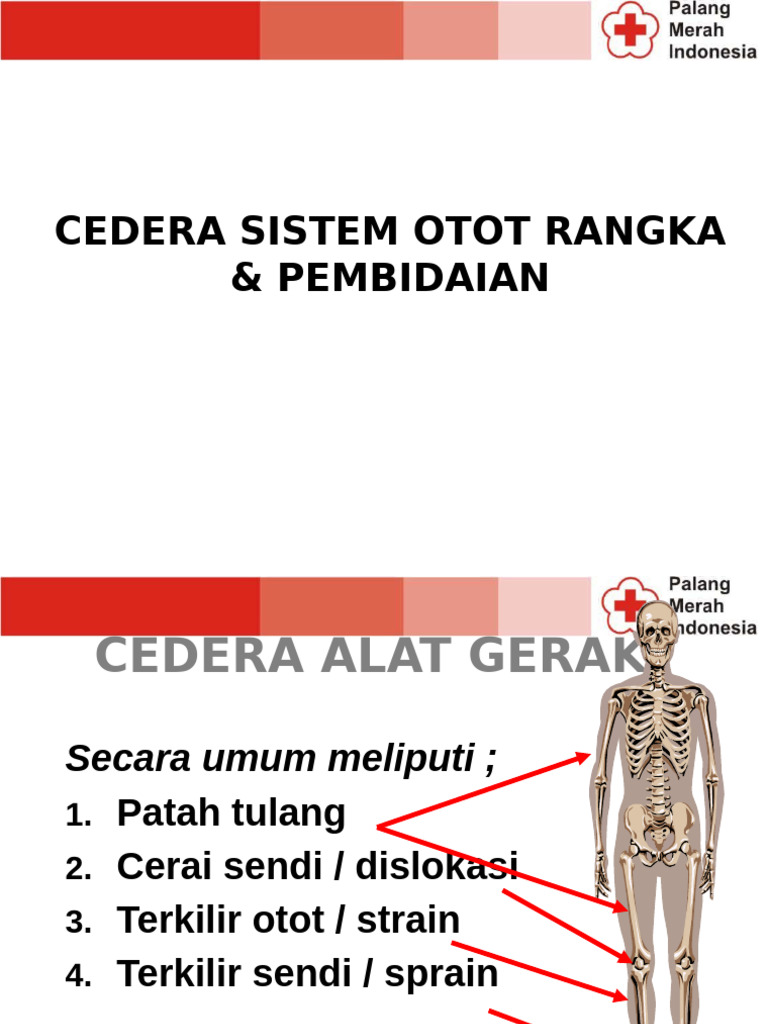 Cidera Sistem Otot Rangka | PDF