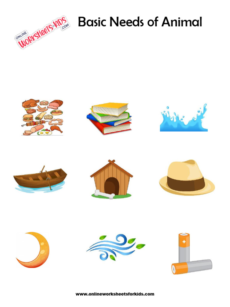 Basic Needs of Animal Worksheet For Grade 1-5 | PDF