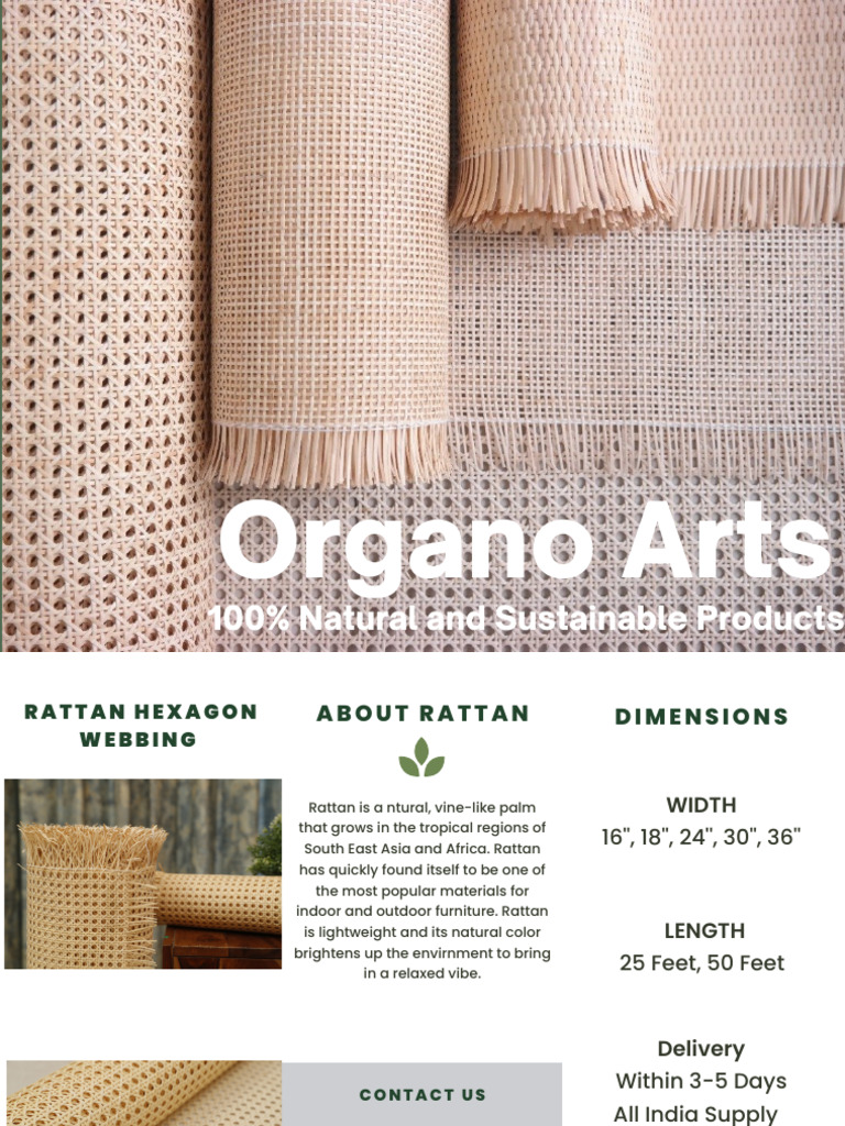 Pregame Parts | PDF | Arecaceae | Buttocks