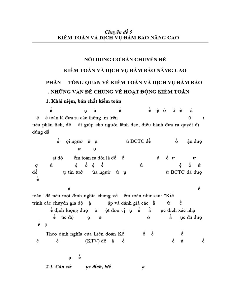 CD5 - Kiem Toan | PDF