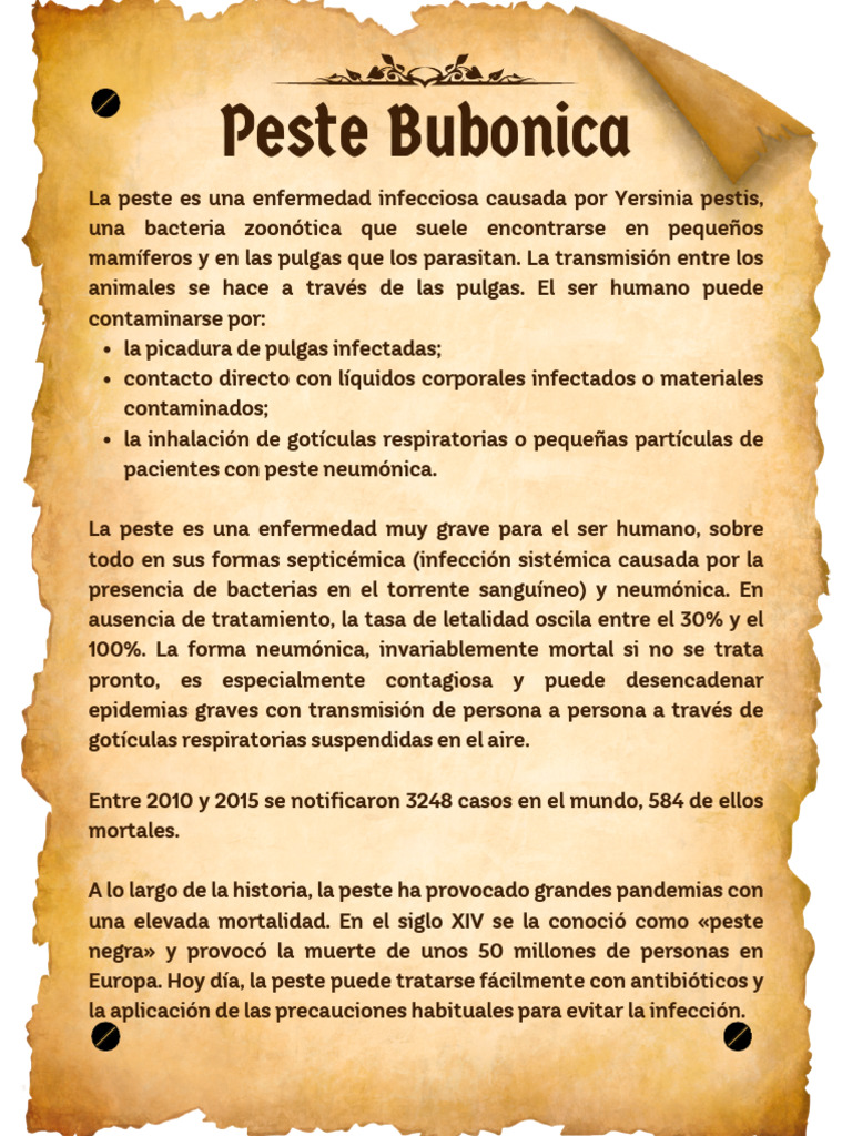 Peste Bubonica | PDF