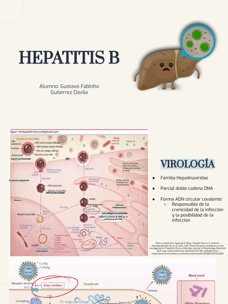 Hepatitis Abce | PDF