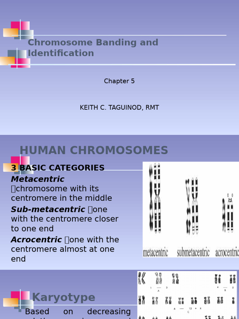 Chapter 5 - Chromosome Banding and Identification | PDF