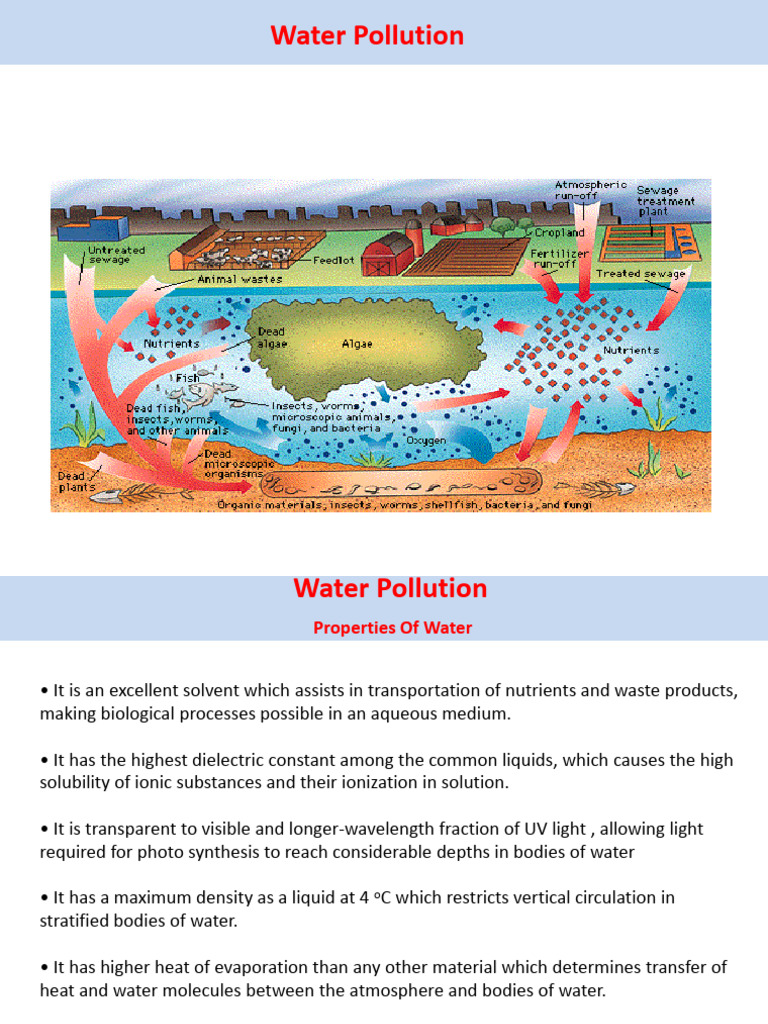 2-B Water Pollution P-2 | PDF