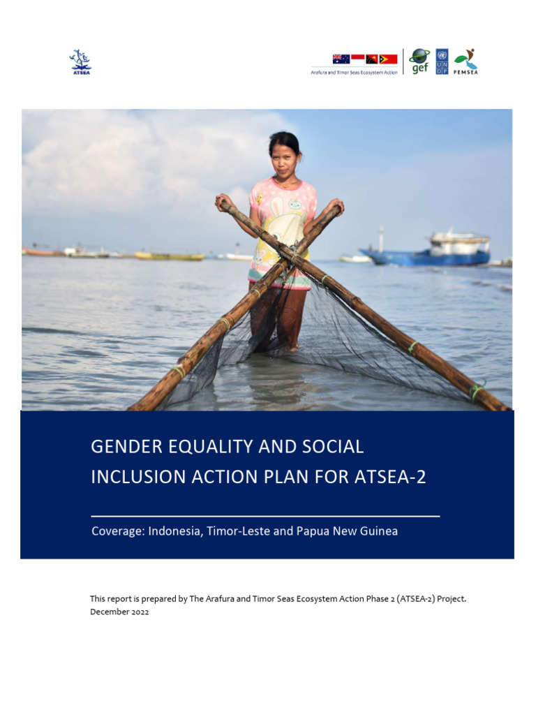 GESI Report and Action Plan | PDF