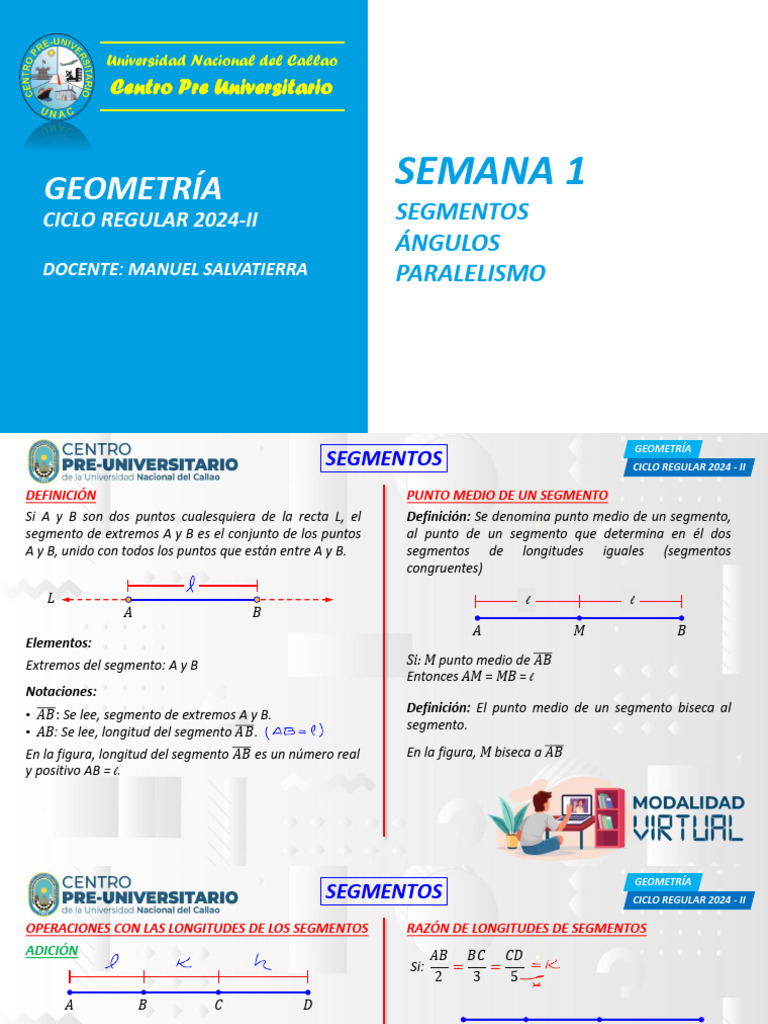 Segmento, Ángulos y Paralelismo | PDF