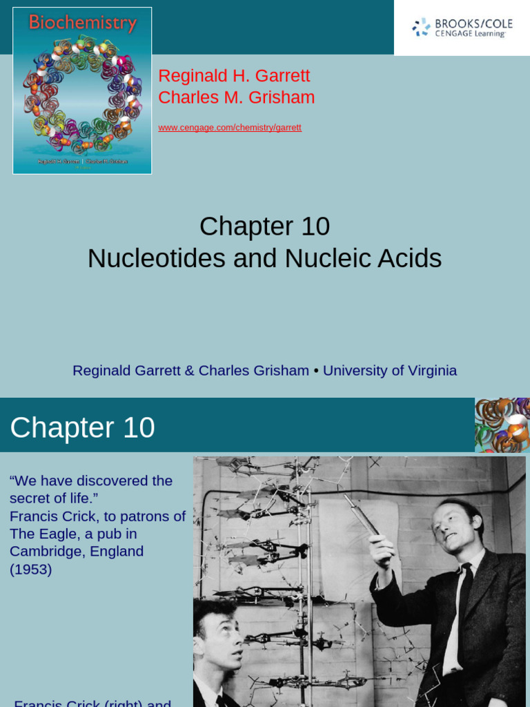 Biochemistry Powerpoint | PDF