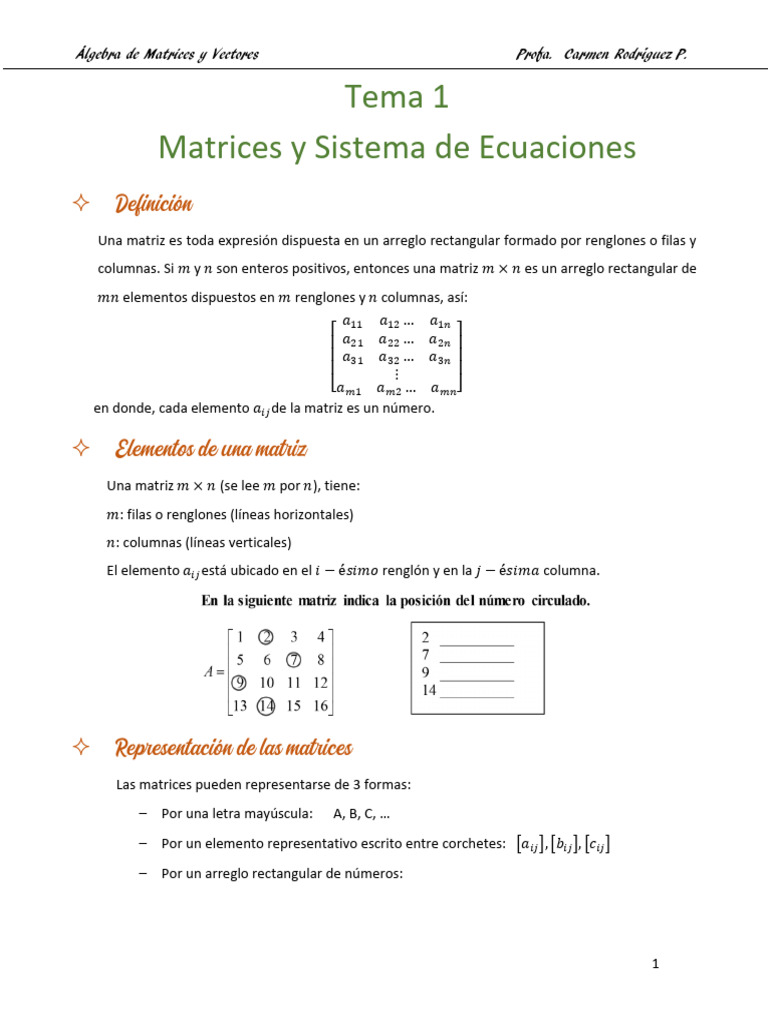 Tema 1 Matrices | PDF