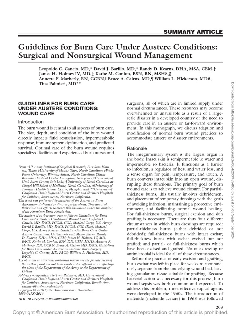 Guidelines For Burn Care Under Austere Conditions. Surgical and ...