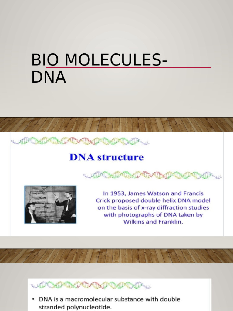 Class XI Biology DNA | PDF