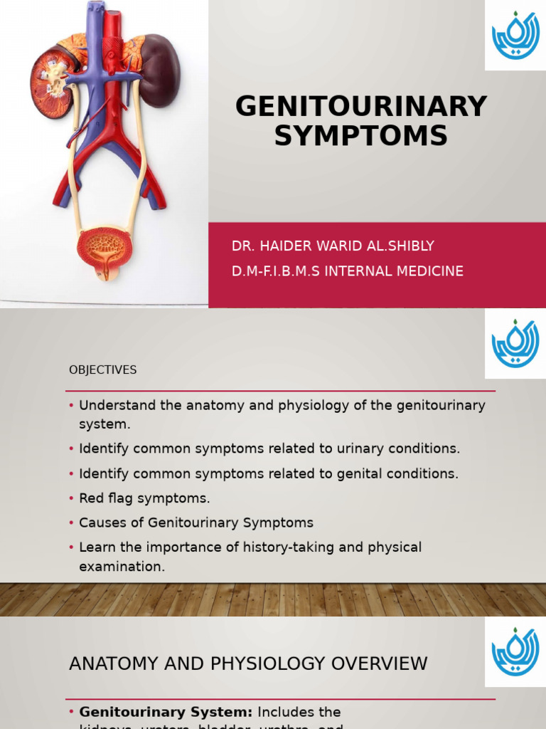 Genitourinary Symptoms | PDF