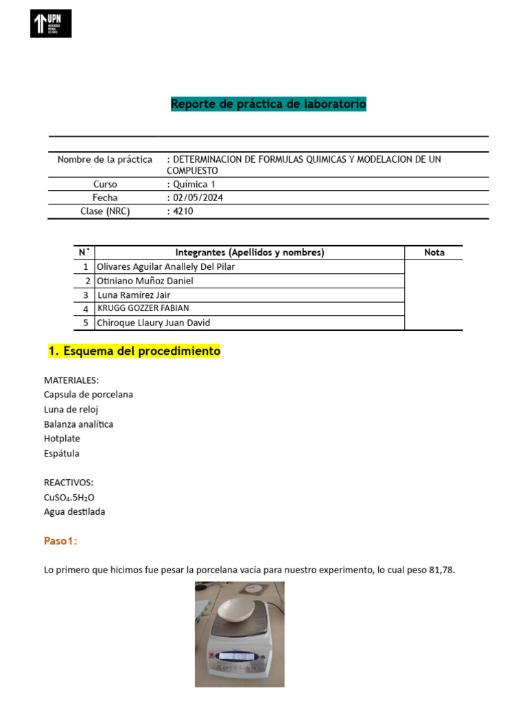 Copia FORMATO - Reporte de Resultados laboratorioGRUPO2 | PDF | Mole ...