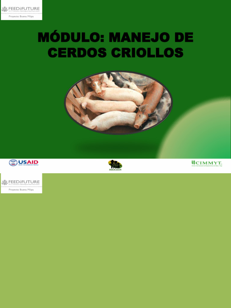 Modulo Manejo de Cerdos | PDF