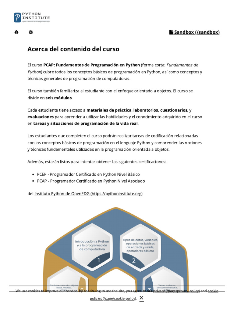Edube Interactive - Fundamentos de Programación en Python - Programa Del Curso | PDF