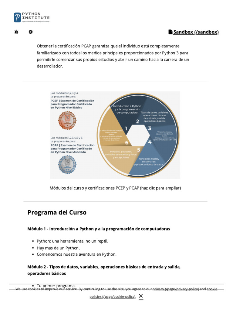 Edube Interactive - Fundamentos de Programación en Python - Programa Del Curso - 5 | PDF