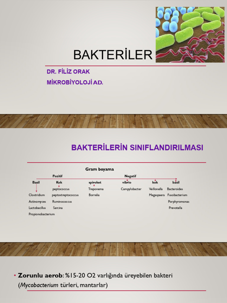 Anaerob Bakteriler-2024 | PDF