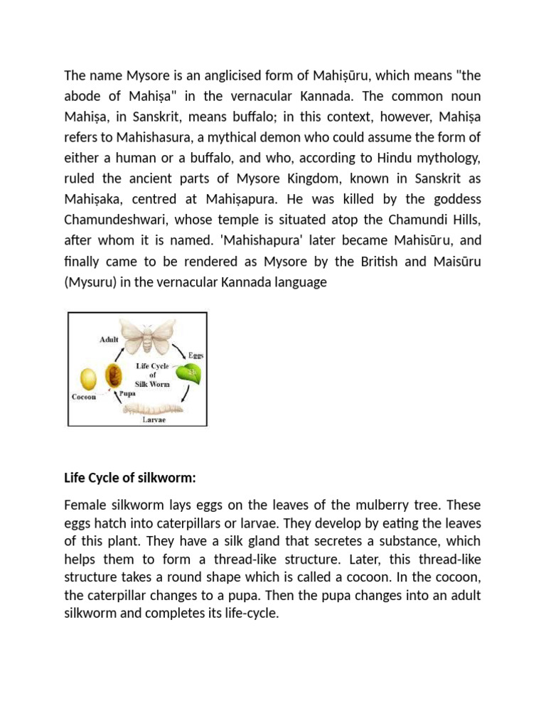 life cycle (1) | PDF