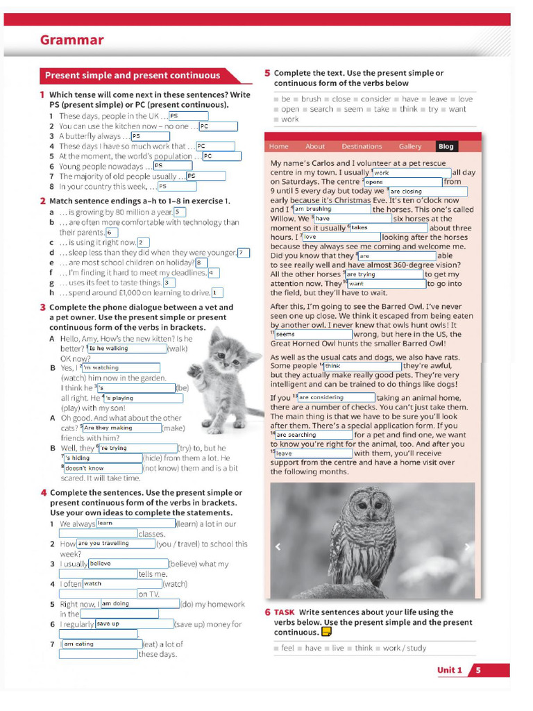 Present Simple Extra Practice Answers | PDF
