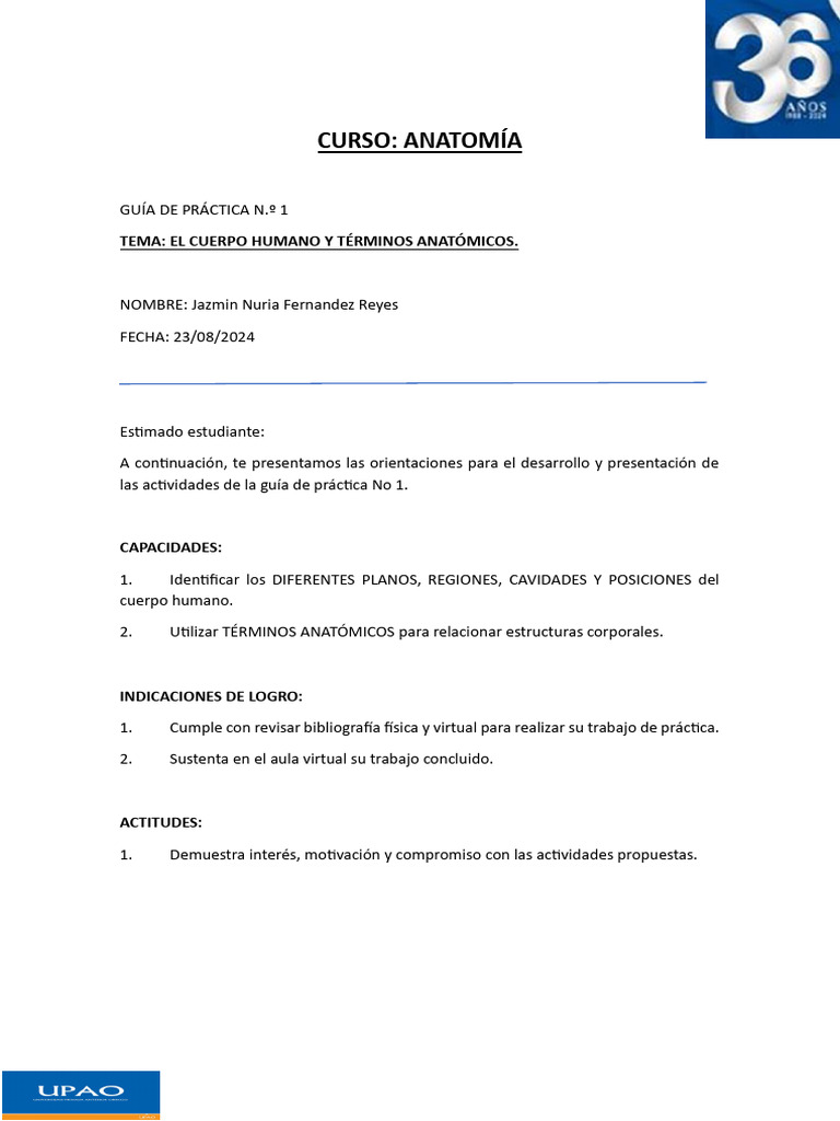 Términos y Planos Anatómicos Básicos | PDF | Abdomen | Salud y bienestar