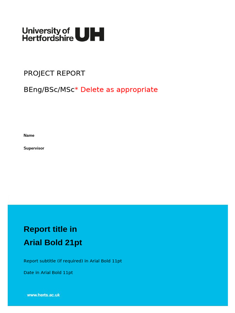 Face Mask Project | PDF