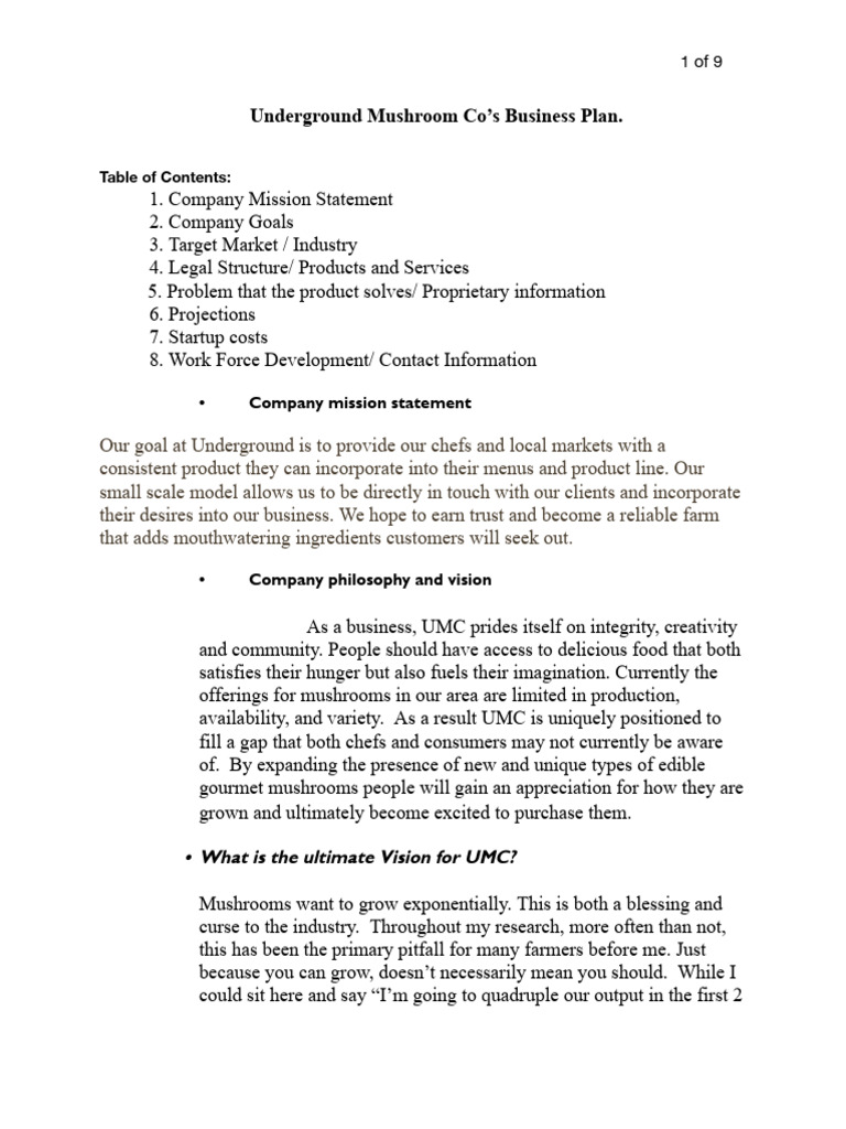 Undermushco Busplan | PDF