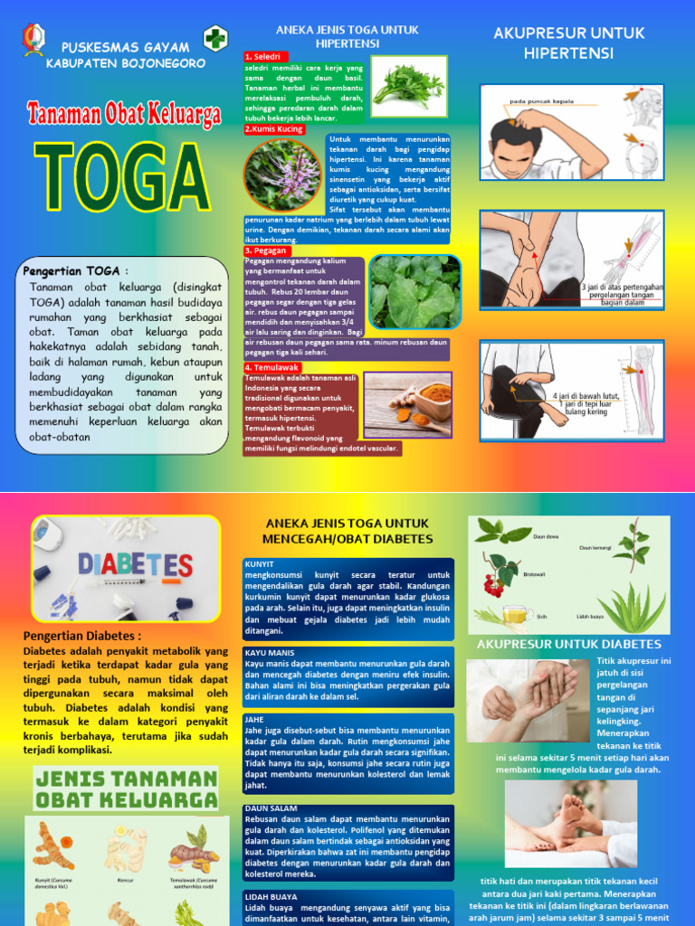 Toga | PDF