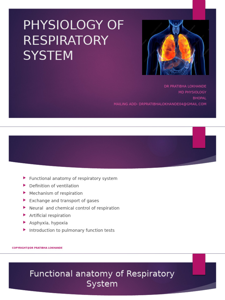 Physiology of Respiratory System | PDF | Respiratory Tract | Lung