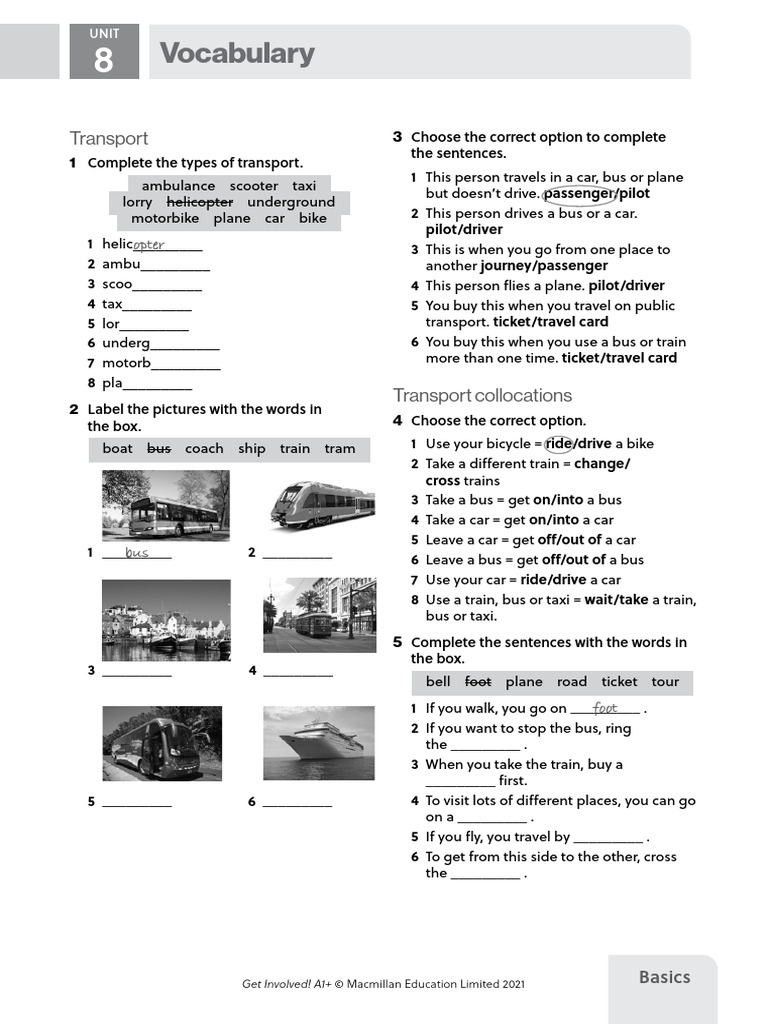 GI A1PLUS U8 Vocabulary Basics | PDF