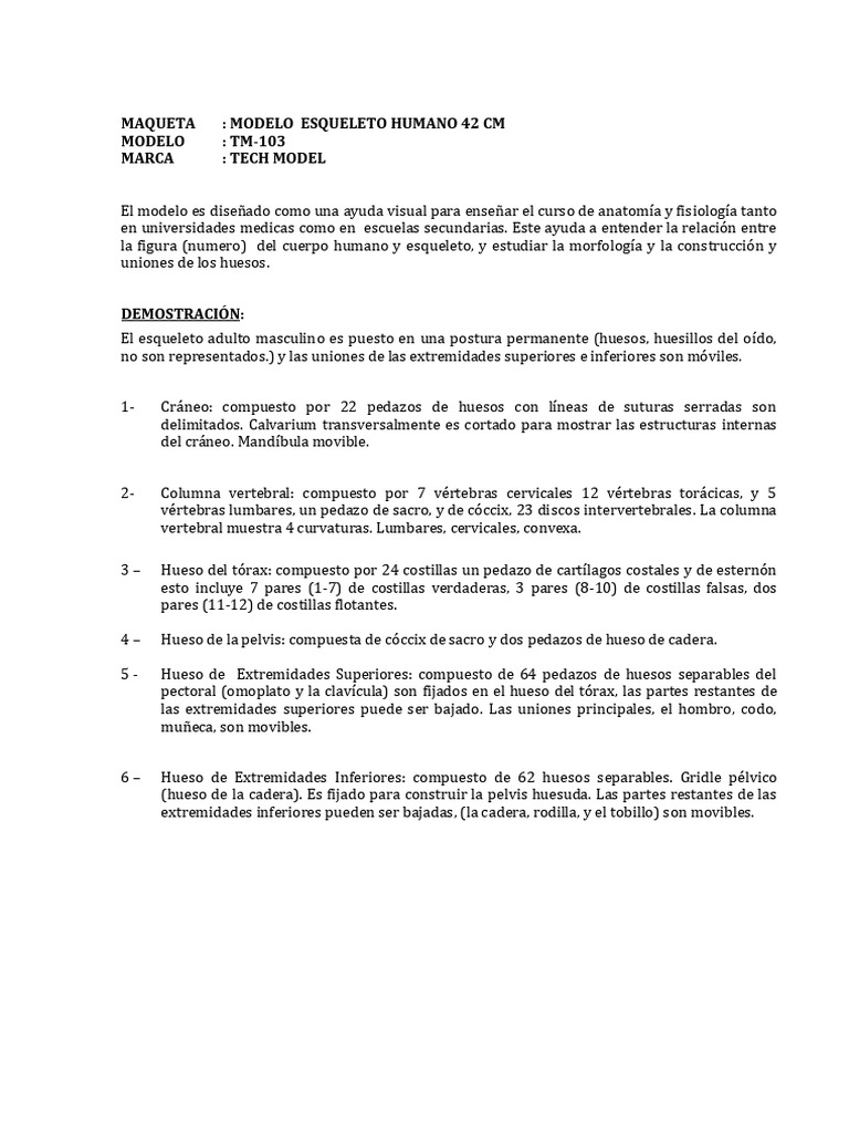TM-103 Esqueleto | PDF
