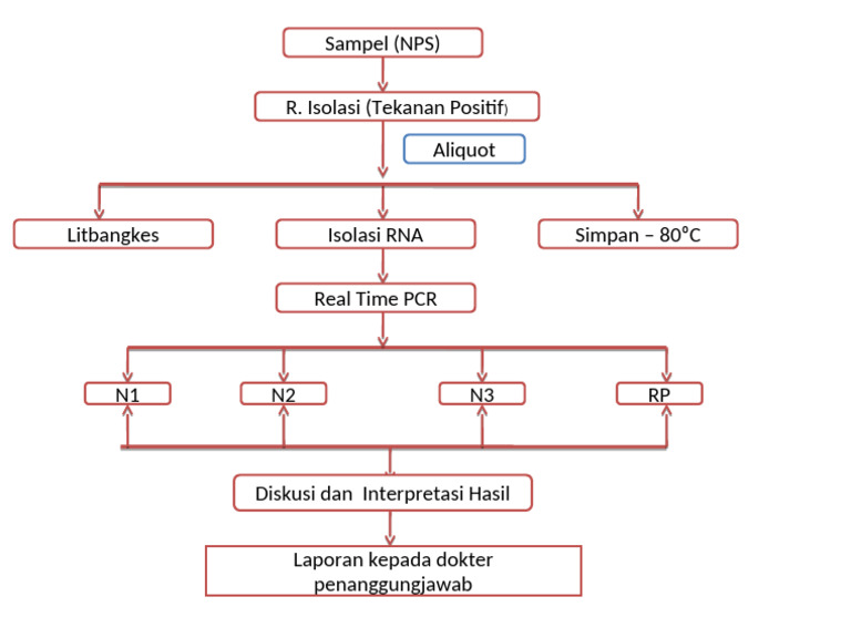 Alur Pemeriksaan Lab | PDF