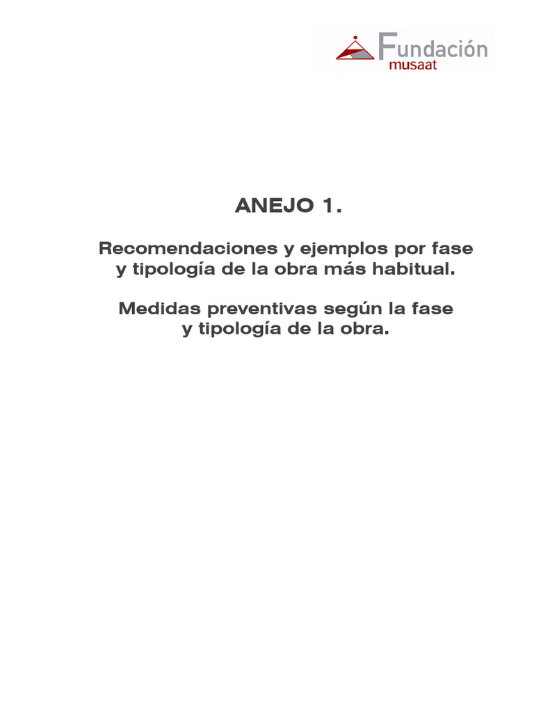 Musaat Riesgos para Aurora Anejo - 1 - 1 | PDF