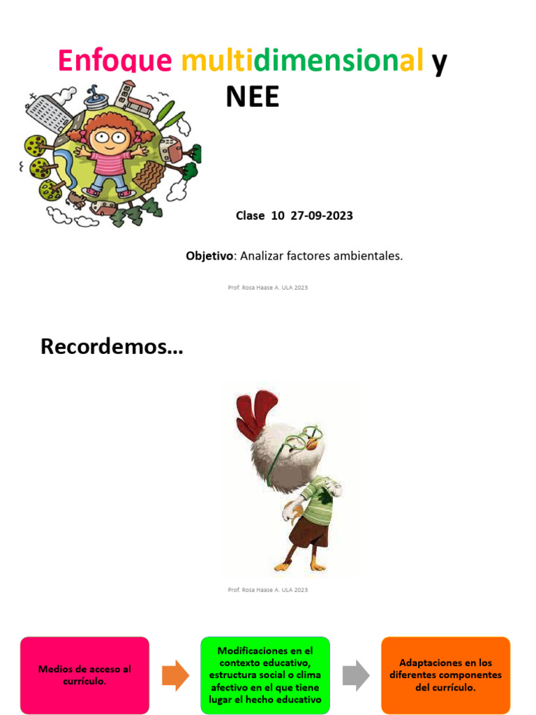 Clase 10 Enfoque Multidimensional | PDF