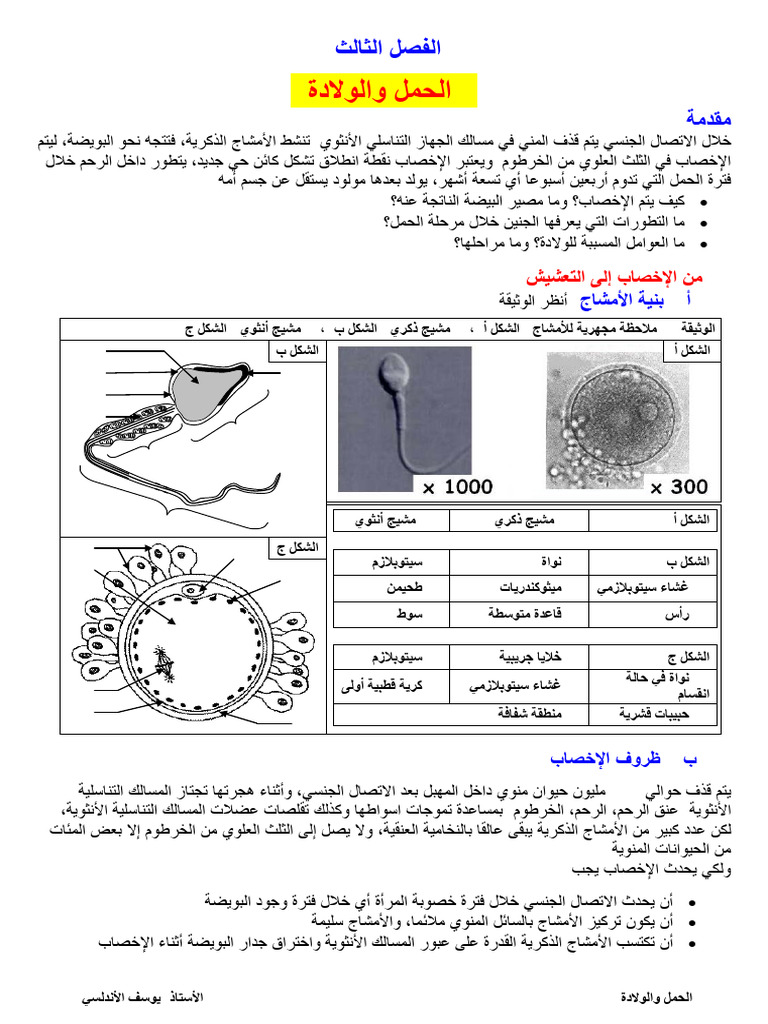 Cours 1rere LT Unit 1 3 | PDF