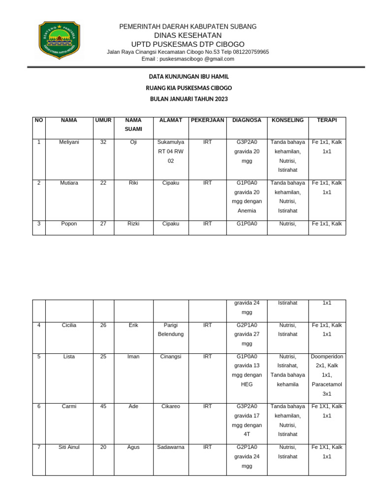 Data Kunjungan Ibu Hamil | PDF