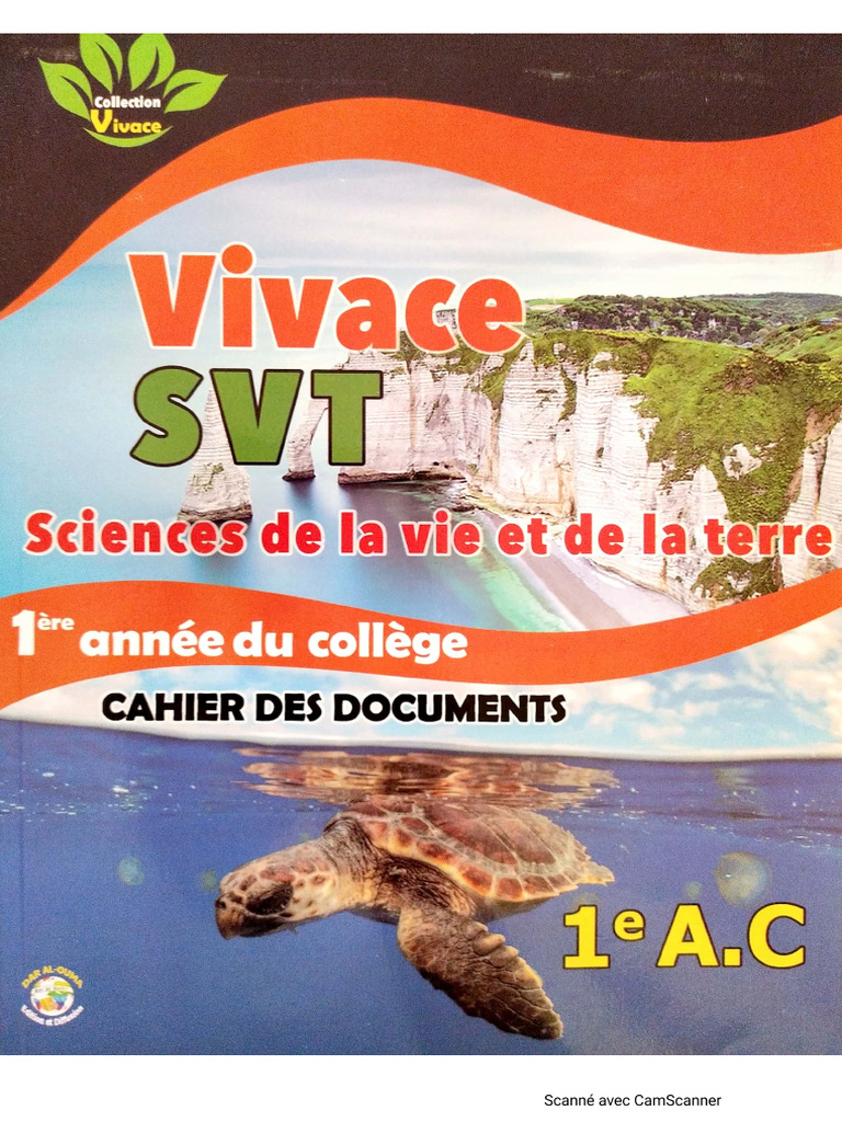Vivace 1AC | PDF