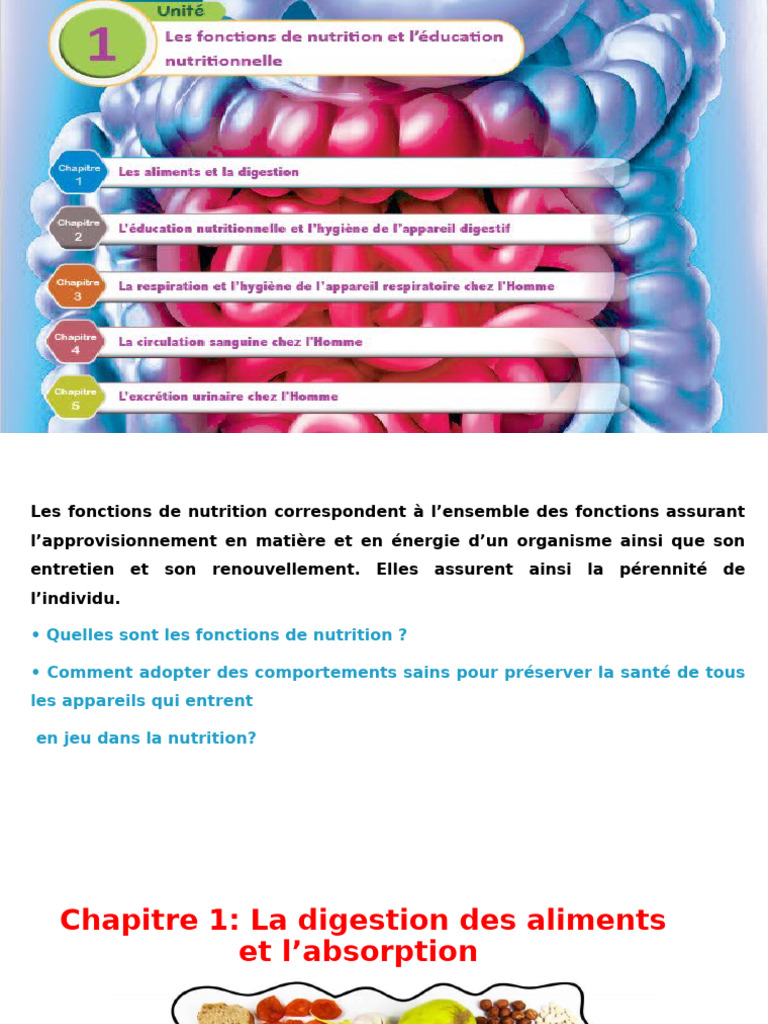 Les Aliments Et La Digestion-1 | PDF
