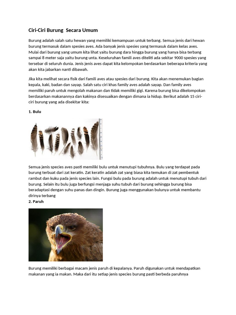 Ciri Ciri Burung | PDF