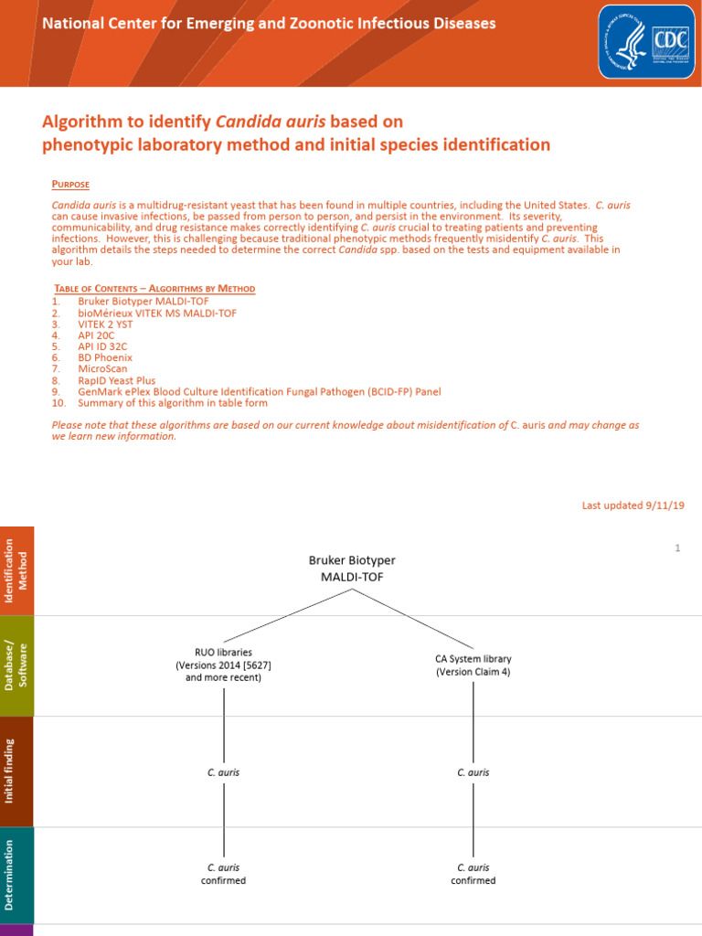 Testing-Algorithm By-Method 508 1 | PDF | Infection | Microbiology