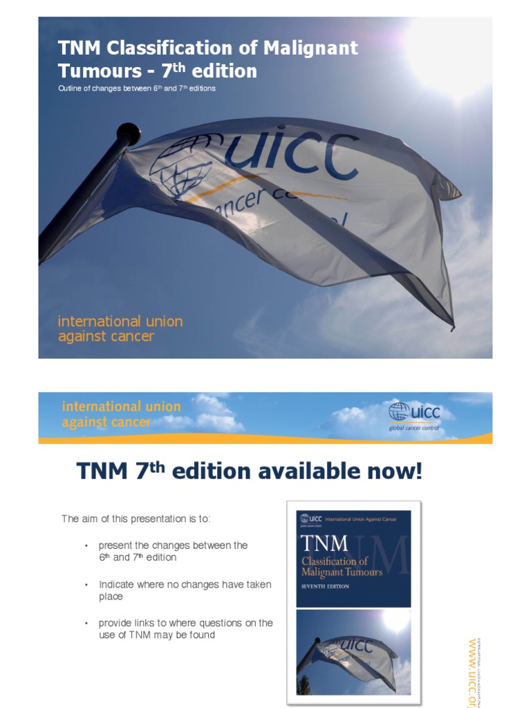 TNM 7th Edition | PDF | Esophagus | Gastrointestinal Tract