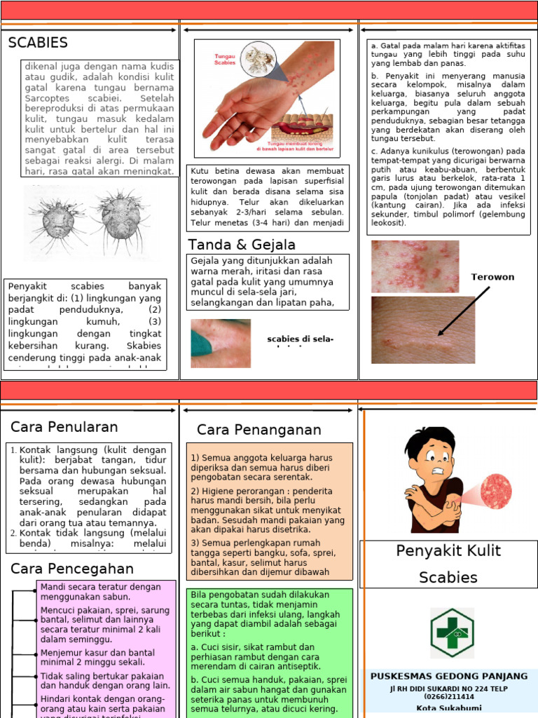 Leaflet Scabies | PDF
