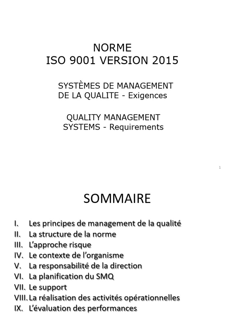 Iso 9001 Première Partie | PDF