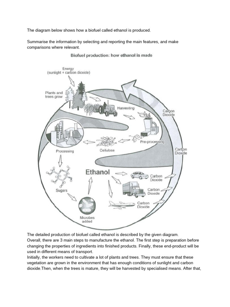 The Diagram Below Shows How A Biofuel Called Ethanol Is Produced | PDF
