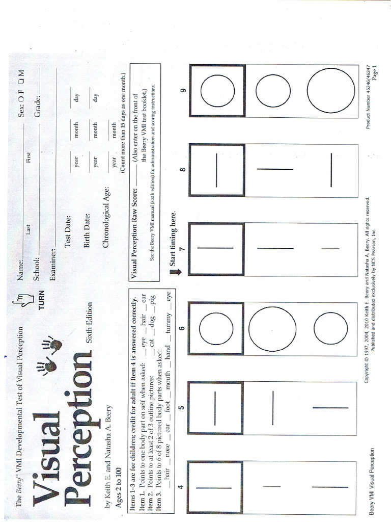 Visual Perception | PDF