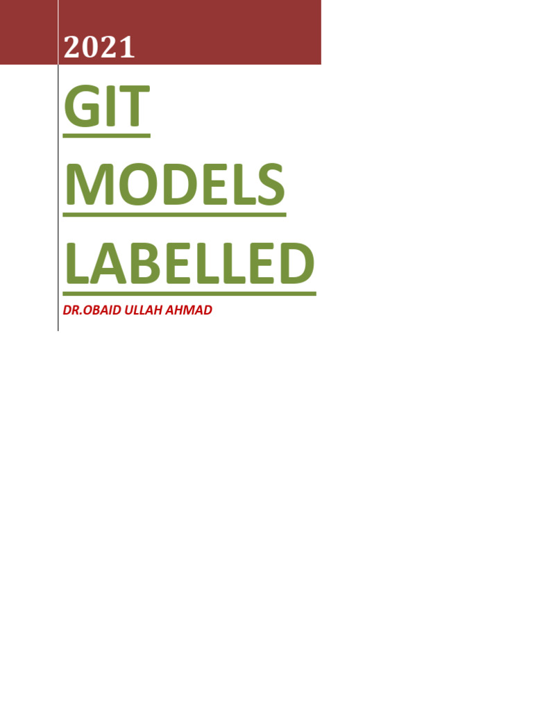 Gi Models | PDF
