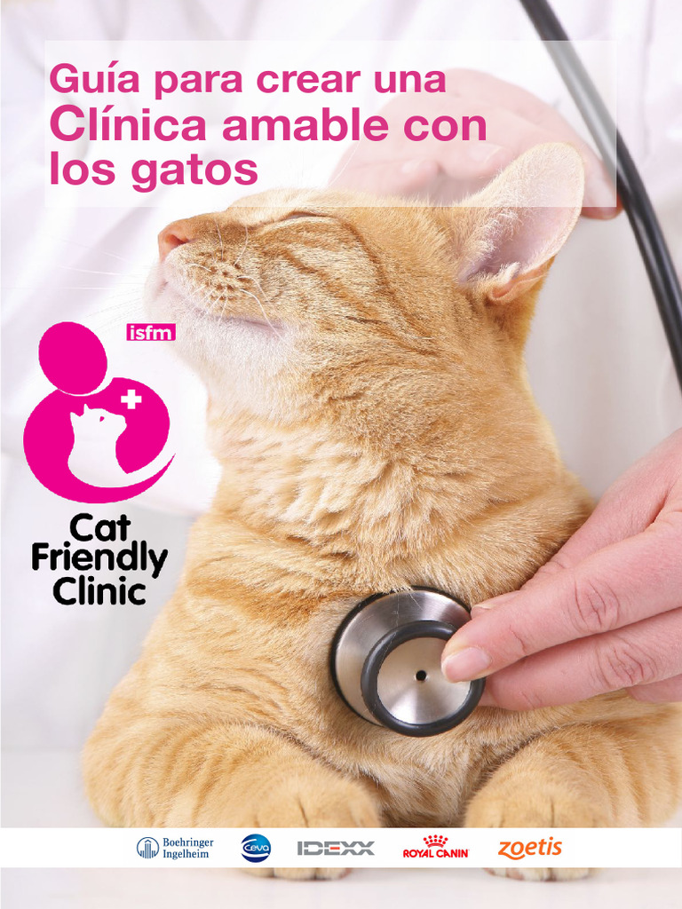 ES CFC Guide 2021 | PDF