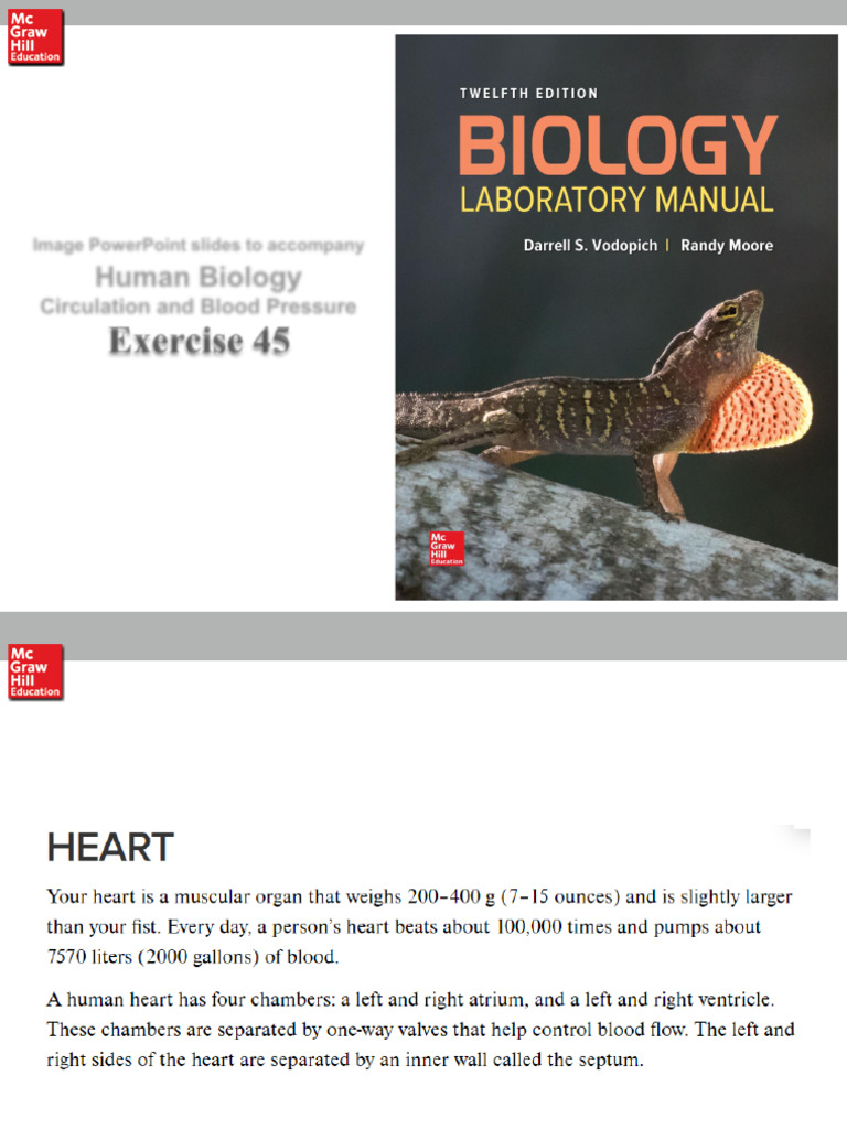 Chapter 9 - Circulatory System - Circulation Blood Pressure | PDF