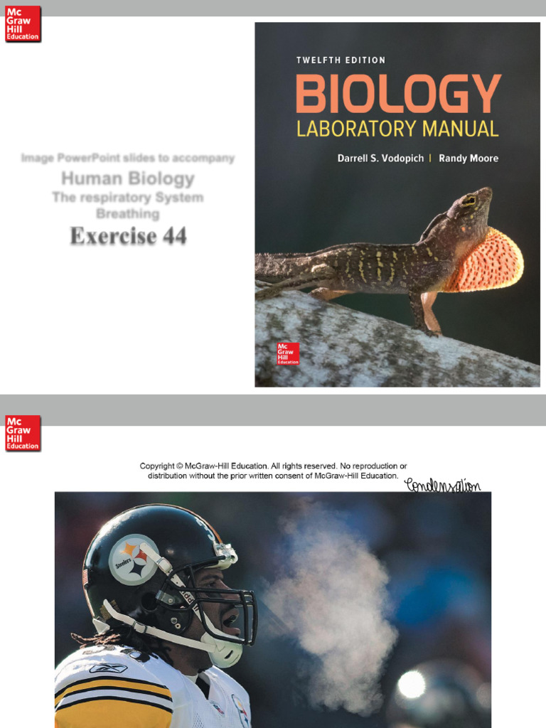 Lab 8-Respiratory System-Breathing | PDF